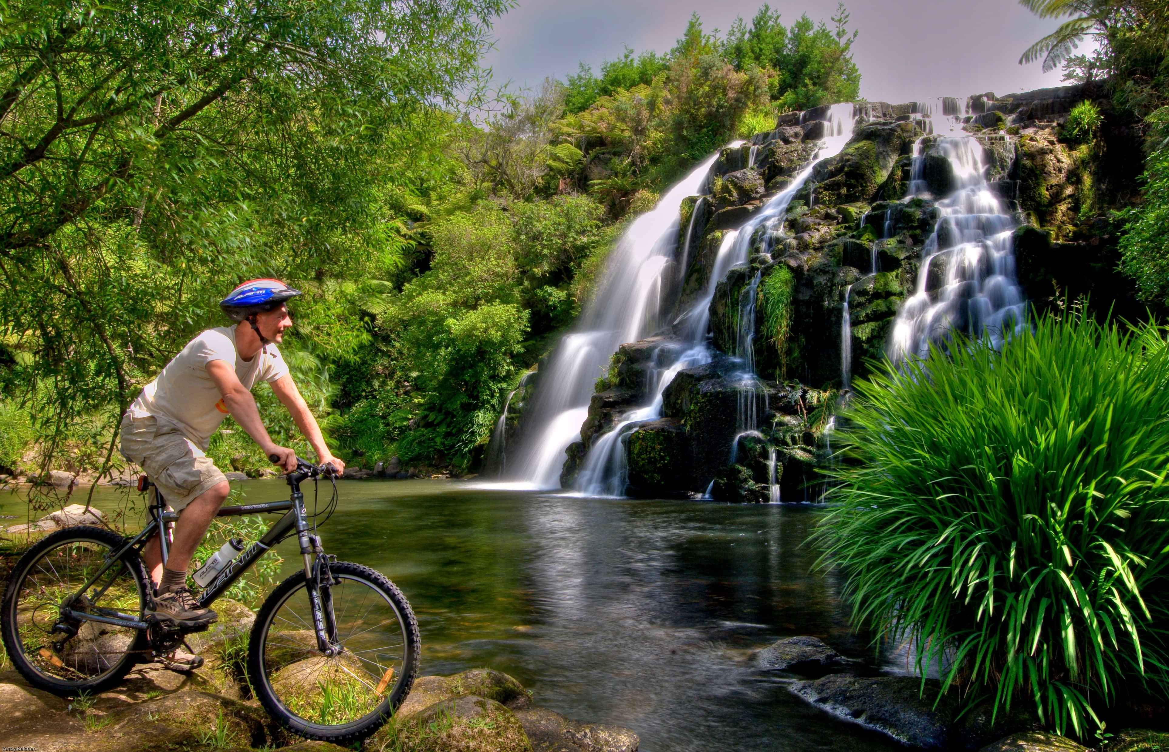 Hauraki Rail Trail Tour | 1 Day Cycling Adventure